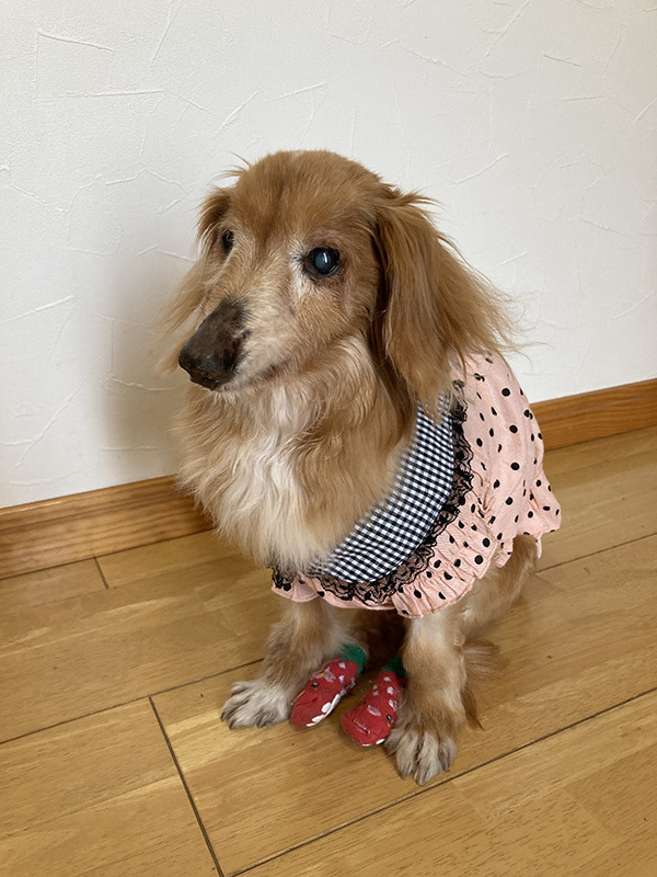 すみれ18歳!: *もも色・すみれ色*